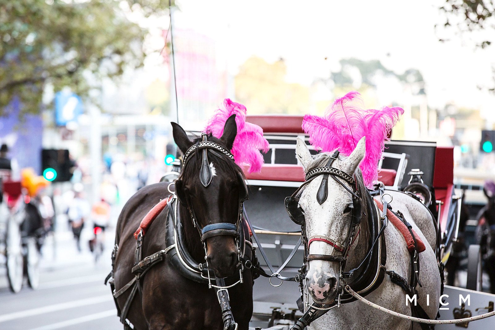 3309-260 Spencer Street Melbourne VIC 3000 | MICM